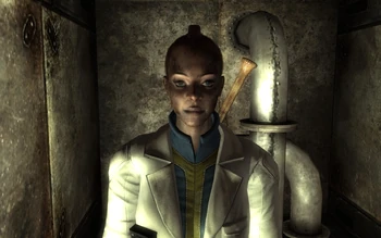 Survivor (Fallout 3) | Fallout Wiki | Fandom