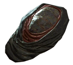 Disciples head covering | Fallout Wiki | Fandom
