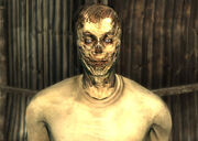 Ghoul | Fallout Wiki | Fandom