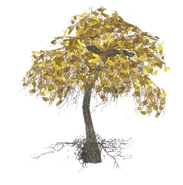 Mutfruit plant (Fallout 76) | Fallout Wiki | Fandom