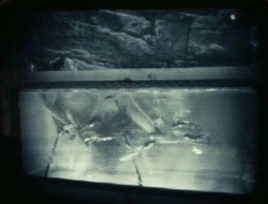 Subject 476 | Fallout Wiki | Fandom