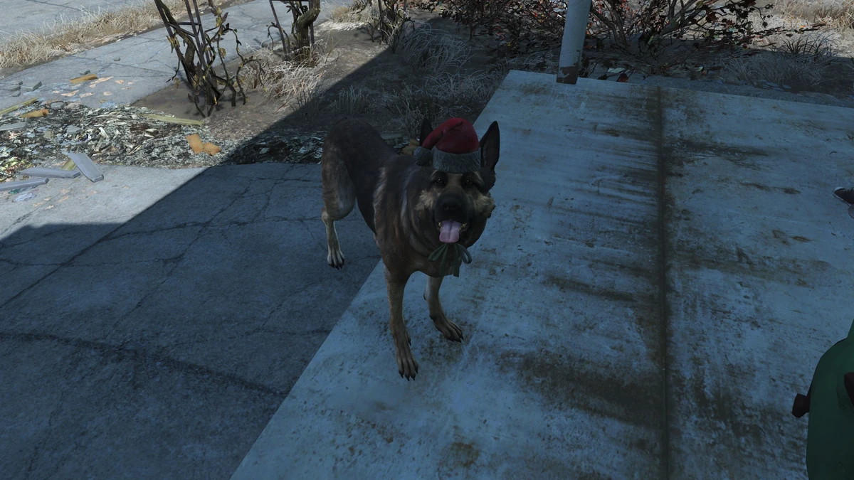 Dog Santa hat | Fallout Wiki | Fandom