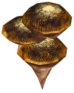 Blight (Fallout 76) | Fallout Wiki | Fandom