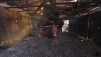 Beasts of Burden | Fallout Wiki | Fandom