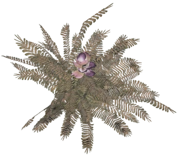 Mutated fern (Fallout 76) | Fallout Wiki | Fandom