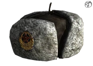 Chinese jumpsuit | Fallout Wiki | Fandom