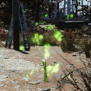 Floater (Fallout 76) | Fallout Wiki | Fandom