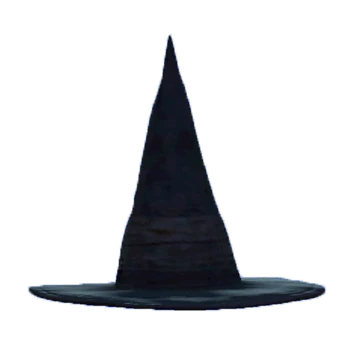 Halloween costume witch | Fallout Wiki | Fandom