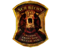 1st Recon beret | Fallout Wiki | Fandom