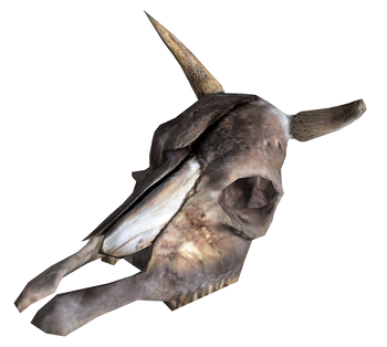 Brahmin skull (Fallout: New Vegas) | Fallout Wiki | Fandom