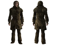 Veronica's armored robes | Fallout Wiki | Fandom