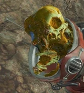 Zetan | Fallout Wiki | Fandom