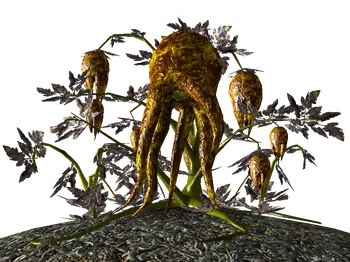 Mother Punga | Fallout Wiki | Fandom