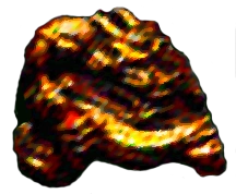 Shi | Krypta | Fandom