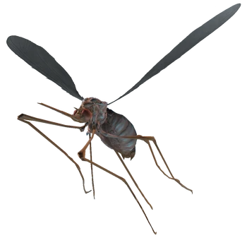 Bloodbug (Fallout 4) | Fallout Wiki | Fandom