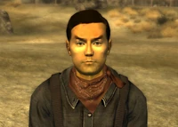 Traveler | Fallout Wiki | Fandom