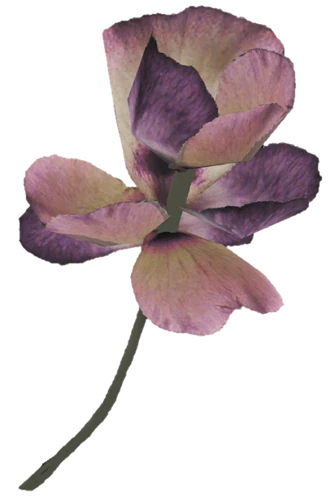 Mutated fern flower (Fallout 76) | Fallout Wiki | Fandom