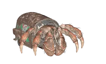 Hermit crab (Fallout 76) | Fallout Wiki | Fandom