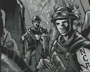 Horse | Fallout Wiki | Fandom