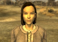 Traveler | Fallout Wiki | Fandom