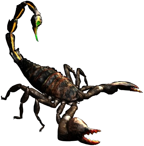 Radscorpion | Fallout Wiki | Fandom