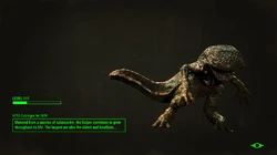 Fallout Creatures Gulper