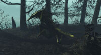 Fog crawler (Far Harbor) | Fallout Wiki | Fandom
