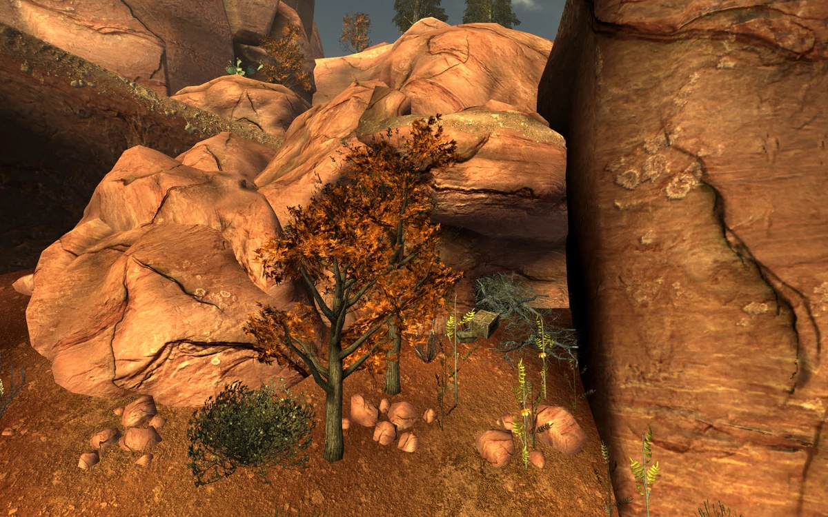 Survivalist's cache | Fallout Wiki | Fandom