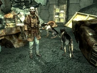 Dog (Fallout 3) | Fallout Wiki | Fandom