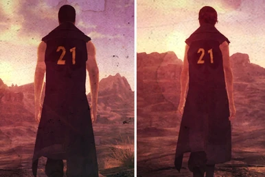 fallout courier duster