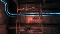 Duct tape (Fallout: New Vegas) | Fallout Wiki | Fandom