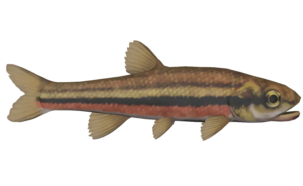 Redbelly | Fallout Wiki | Fandom