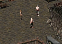 Guns and Bullets (Fallout 2) | Fallout Wiki | Fandom