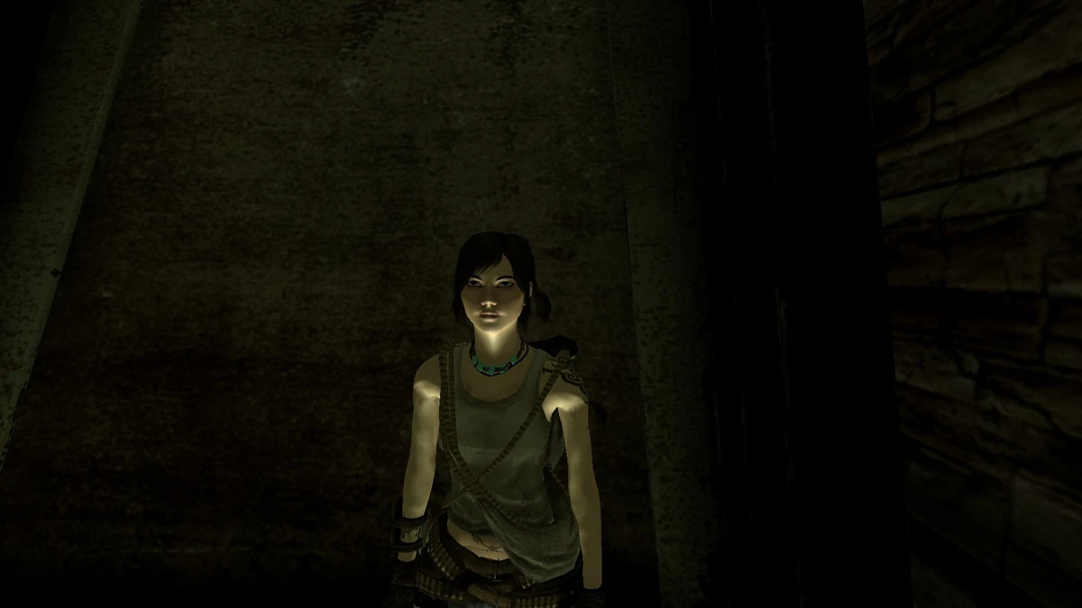 User blog:Peace'n Hugs/Hide and Seek with Helena Week 43 | Fallout Wiki ...