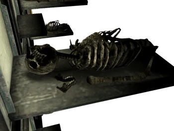 Mei Shen | Fallout Wiki | Fandom