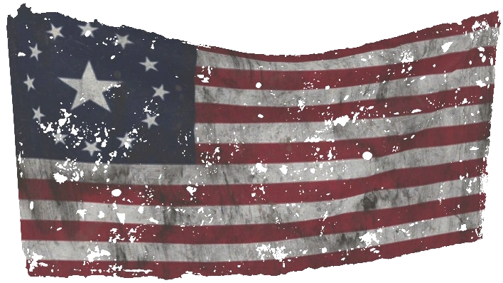 U.S. flag | Fallout Wiki | Fandom