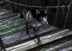 Bandit (Hund) | Fallout Wiki | Fandom