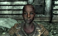Mercenary (Fallout 3) | Fallout Wiki | Fandom