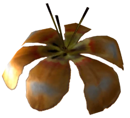 Broc flower (Fallout: New Vegas) | Fallout Wiki | Fandom