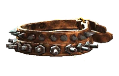 Double dog collar | Fallout Wiki | Fandom