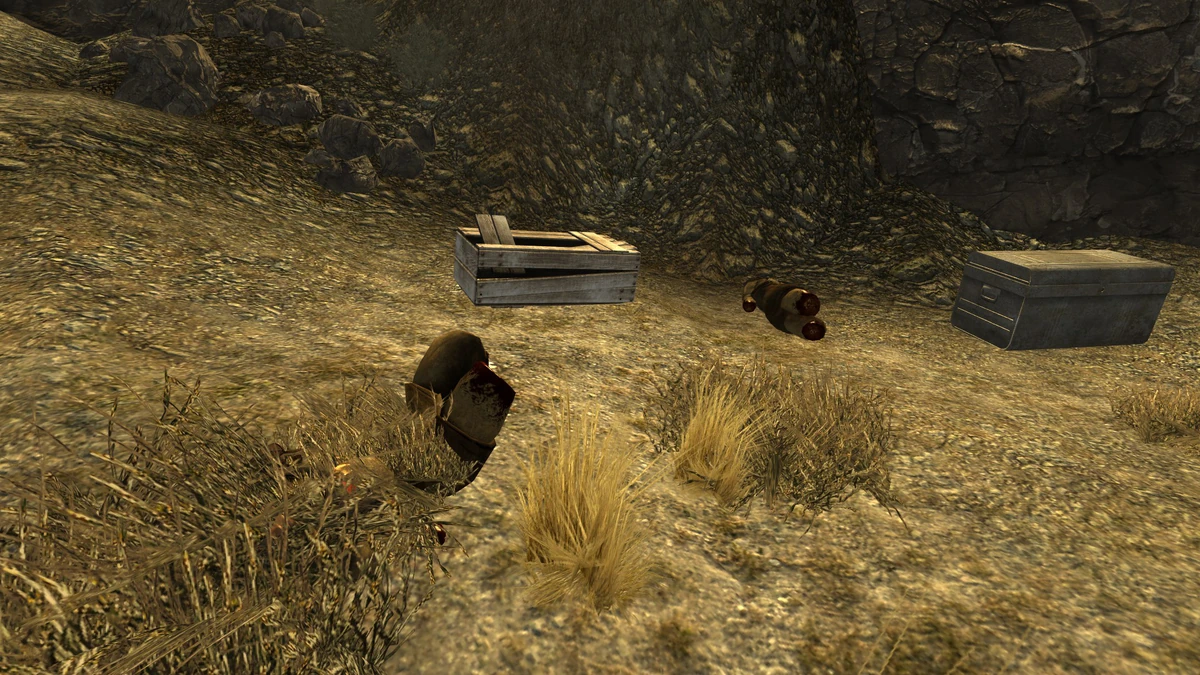 Forlorn Hope letter | Fallout Wiki | Fandom