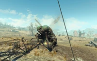Bloatfly (Fallout 4) | Fallout Wiki | Fandom