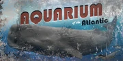 Aquarium of the Atlantic | Fallout Wiki | Fandom