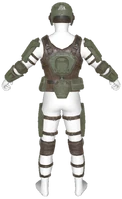 Combat armor (Fallout 76) | Fallout Wiki | Fandom