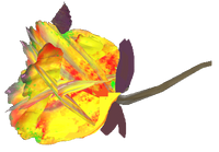Rhododendron flower | Fallout Wiki | Fandom
