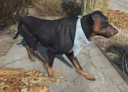 Bandana (Fallout 4) | Fallout Wiki | Fandom