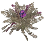 Mutated fern (Fallout 76) | Fallout Wiki | Fandom