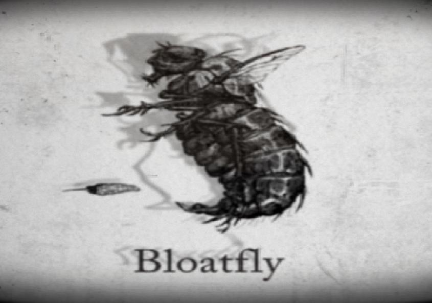 Bloatfly (Fallout: New Vegas) | Fallout Wiki | Fandom