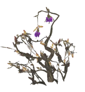 Wild tato plant (Fallout 76) | Fallout Wiki | Fandom