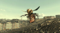 Bloatfly (Fallout 3) | Fallout Wiki | Fandom